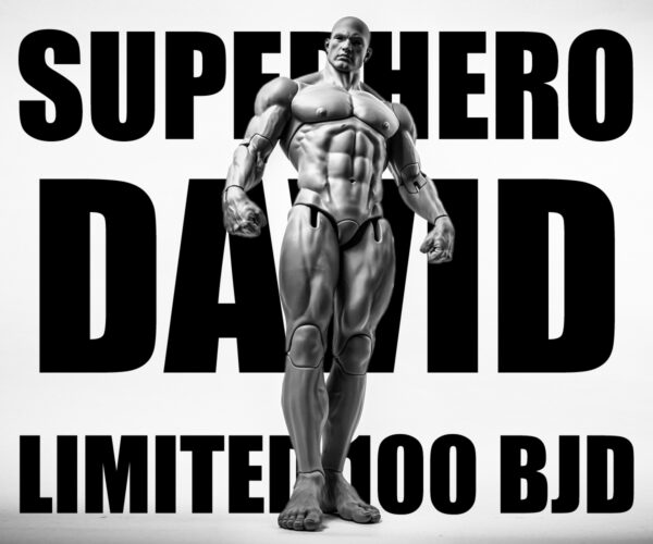 David New Body (SUPERHERO CLASSIC - 72cm) (Special Package) - DollShe craft